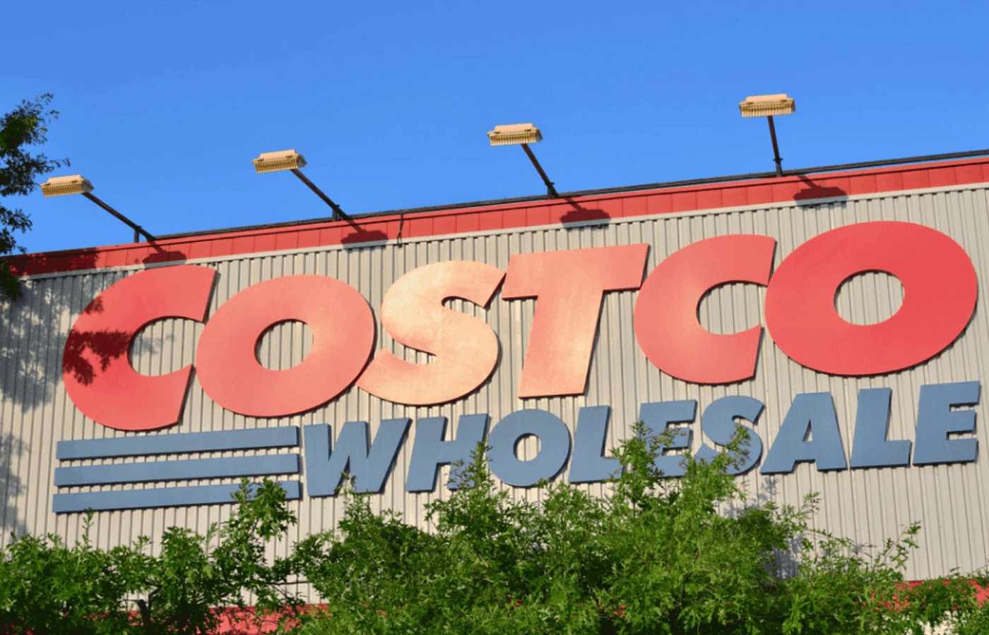 Does Costco Sell Pokemon Cards IndoorGameBunker Does Costco Sell Pokemon Cards IndoorGameBunker